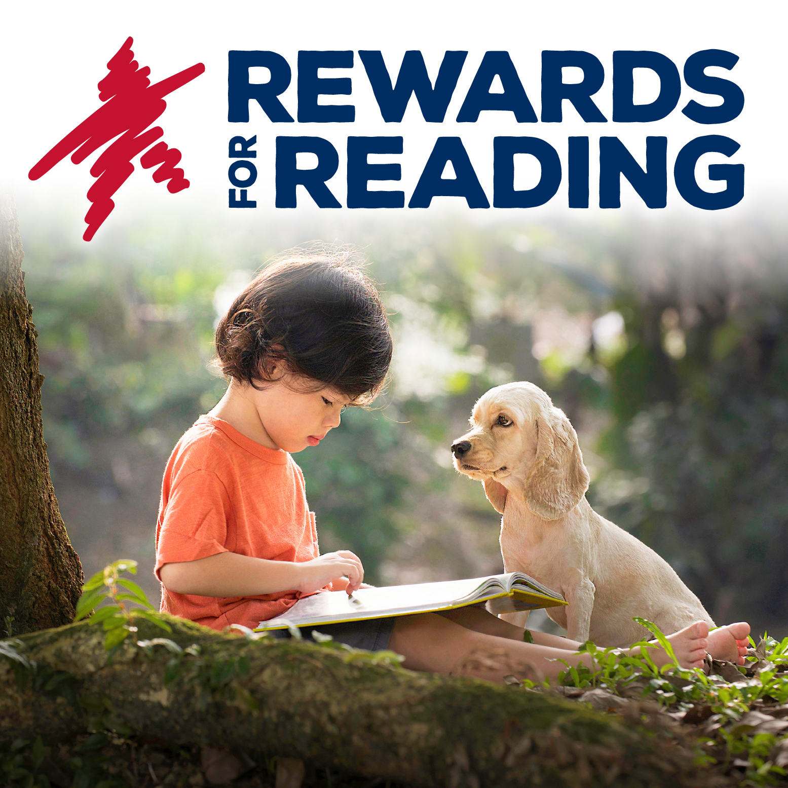 Toledo Area Summer Rewards Programs for Kids - Toledo Parent